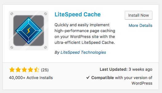 Improve WordPress Performance with LiteSpeed - Rochen